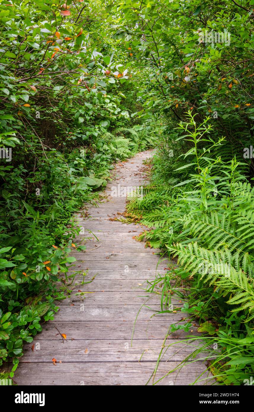 Pennsylvania wetland conservation hi-res stock photography and images ...