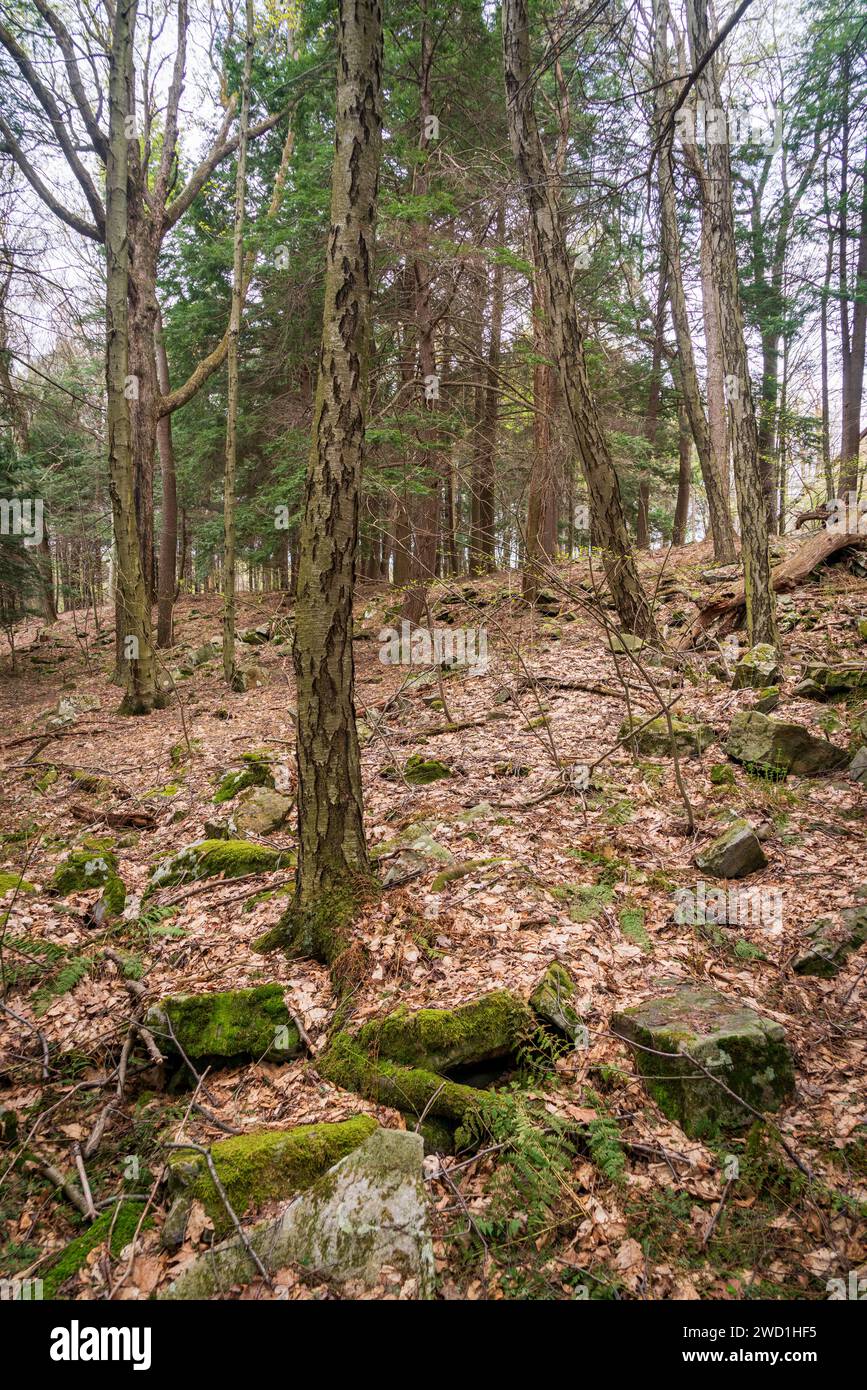 Allegheny Portage Railroad National Historic Site, first railroad ...