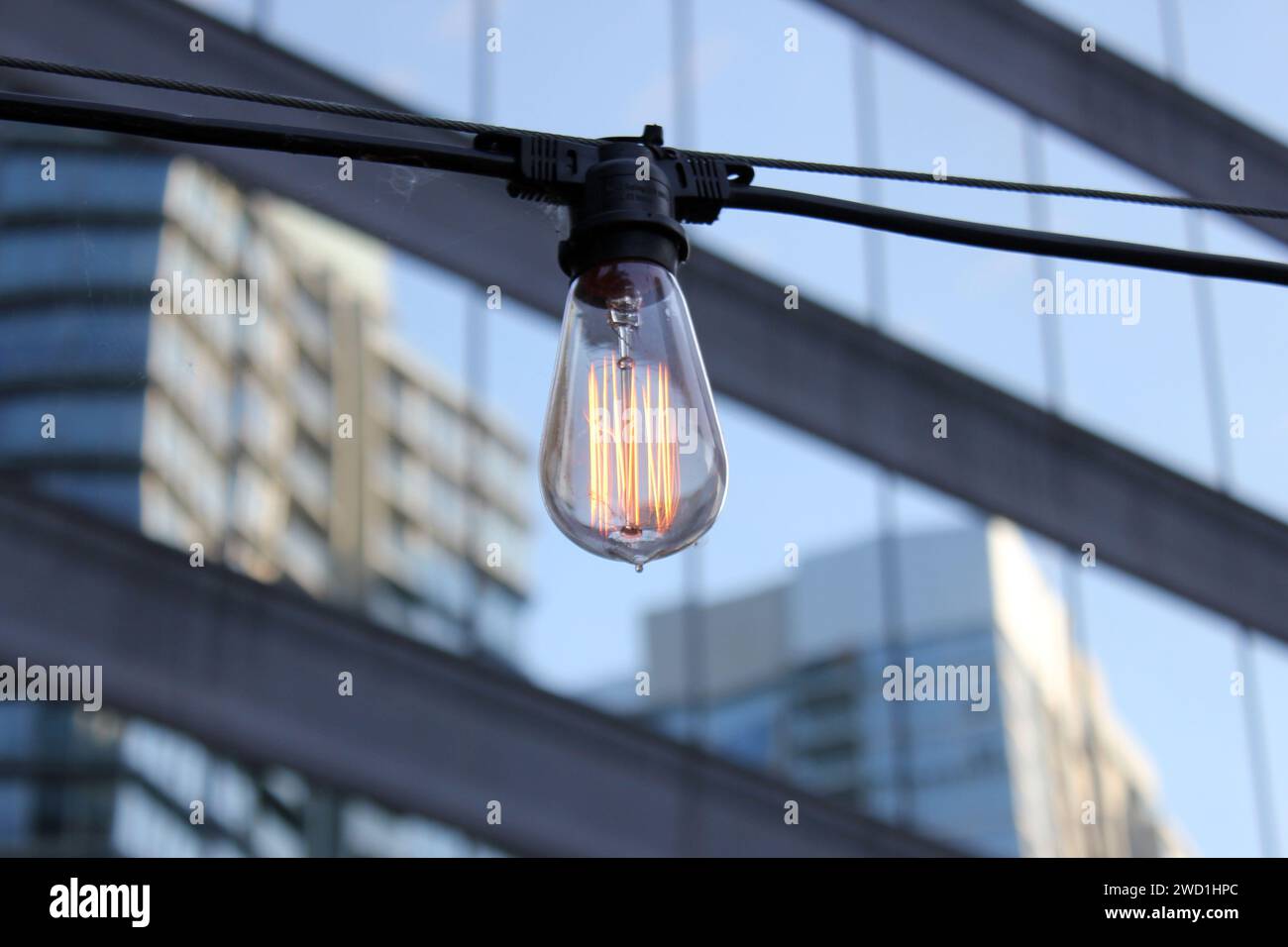 Prominent bulb hi-res stock photography and images - Alamy