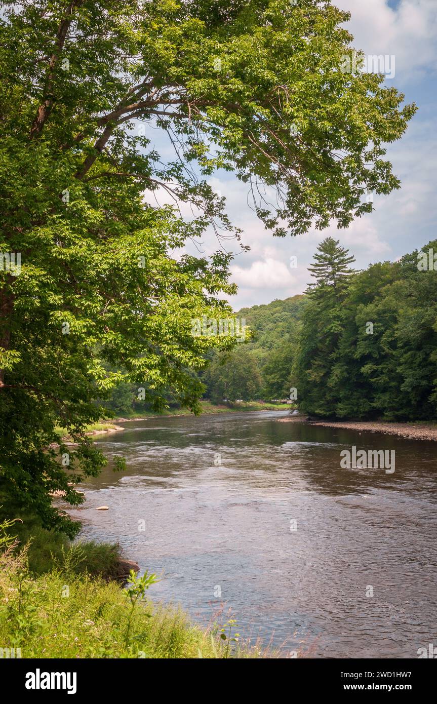 The River at Cook Forest State Park and Clarion River Lands in scenic ...