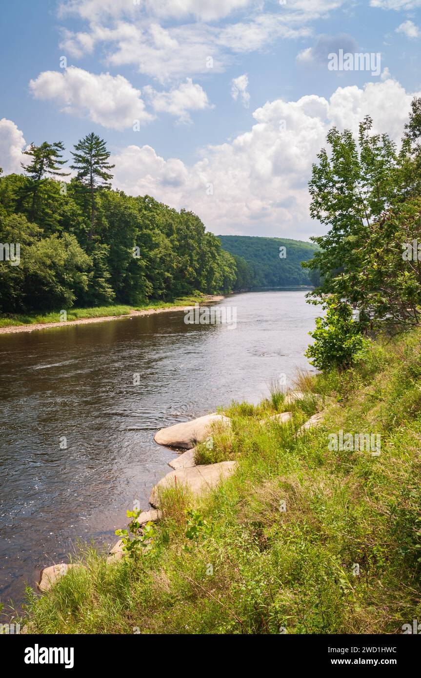 The River at Cook Forest State Park and Clarion River Lands in scenic ...