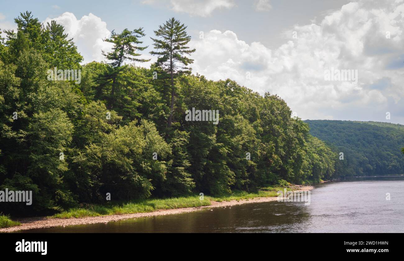 The River at Cook Forest State Park and Clarion River Lands in scenic ...
