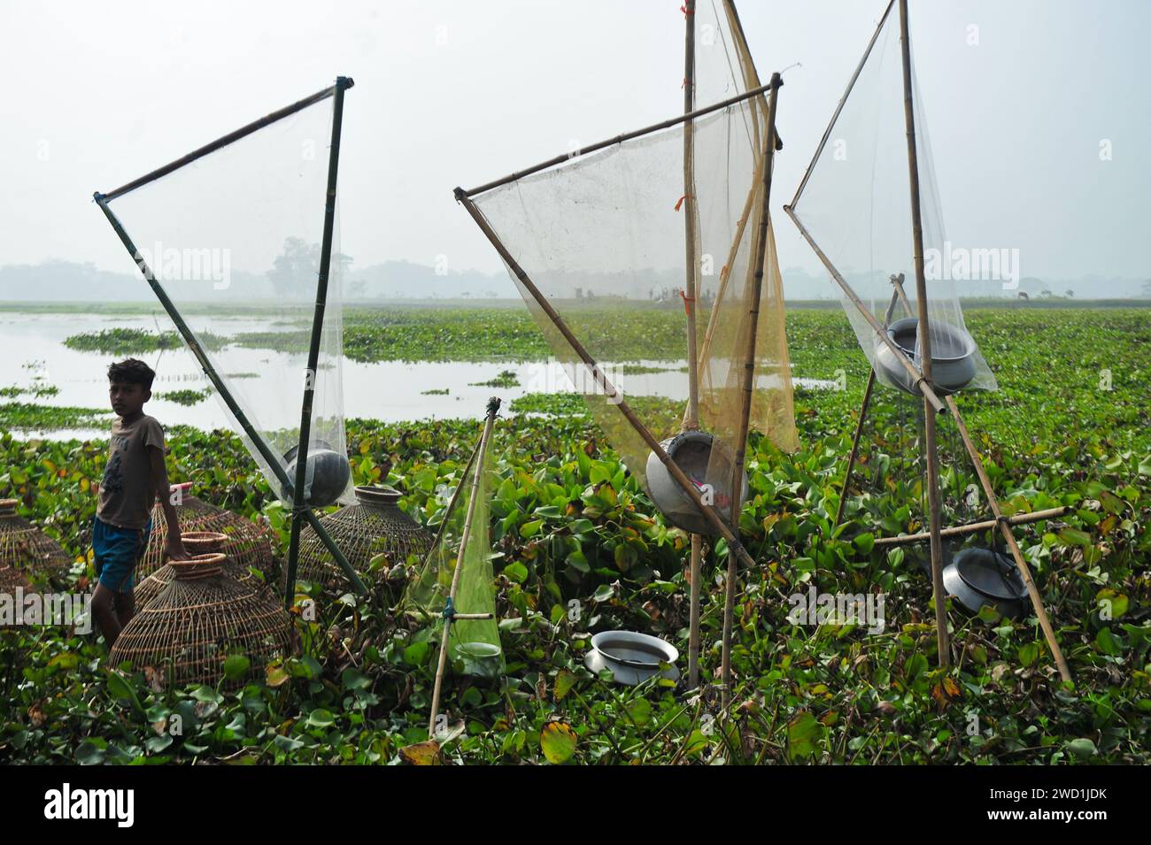 Rural people armed with Bamboo fish traps and handmade fishing nets ...