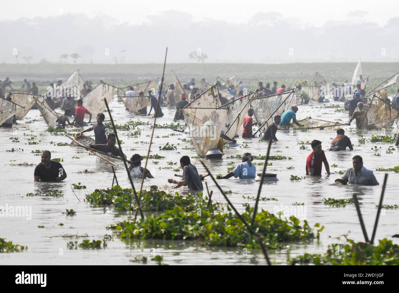 Rural people armed with Bamboo fish traps and handmade fishing nets ...