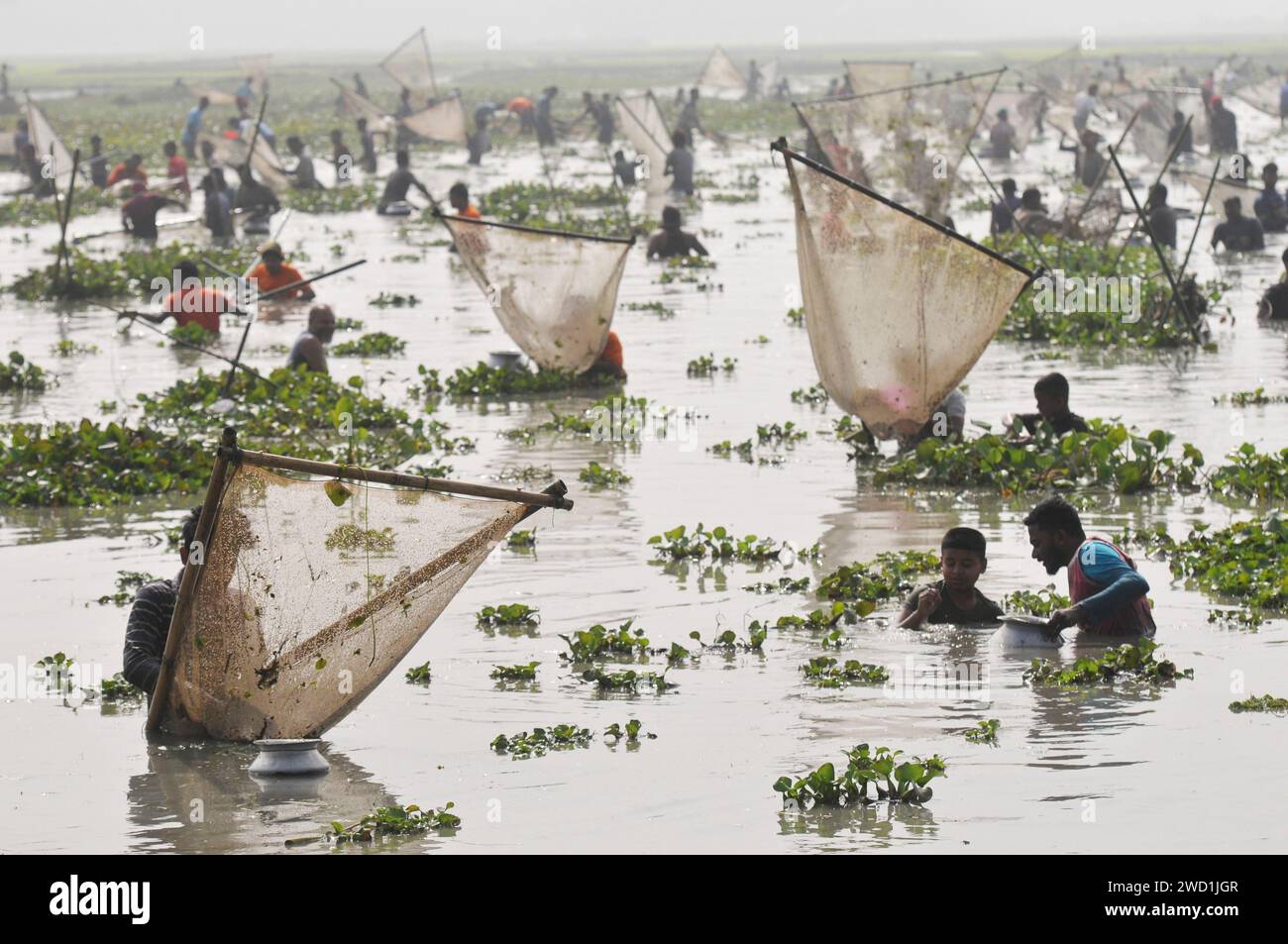 Rural people armed with Bamboo fish traps and handmade fishing nets ...