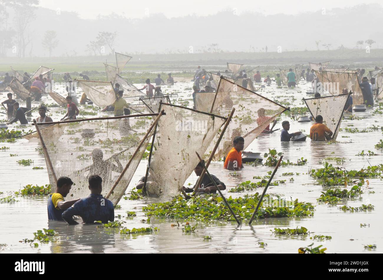 Rural people armed with Bamboo fish traps and handmade fishing nets ...