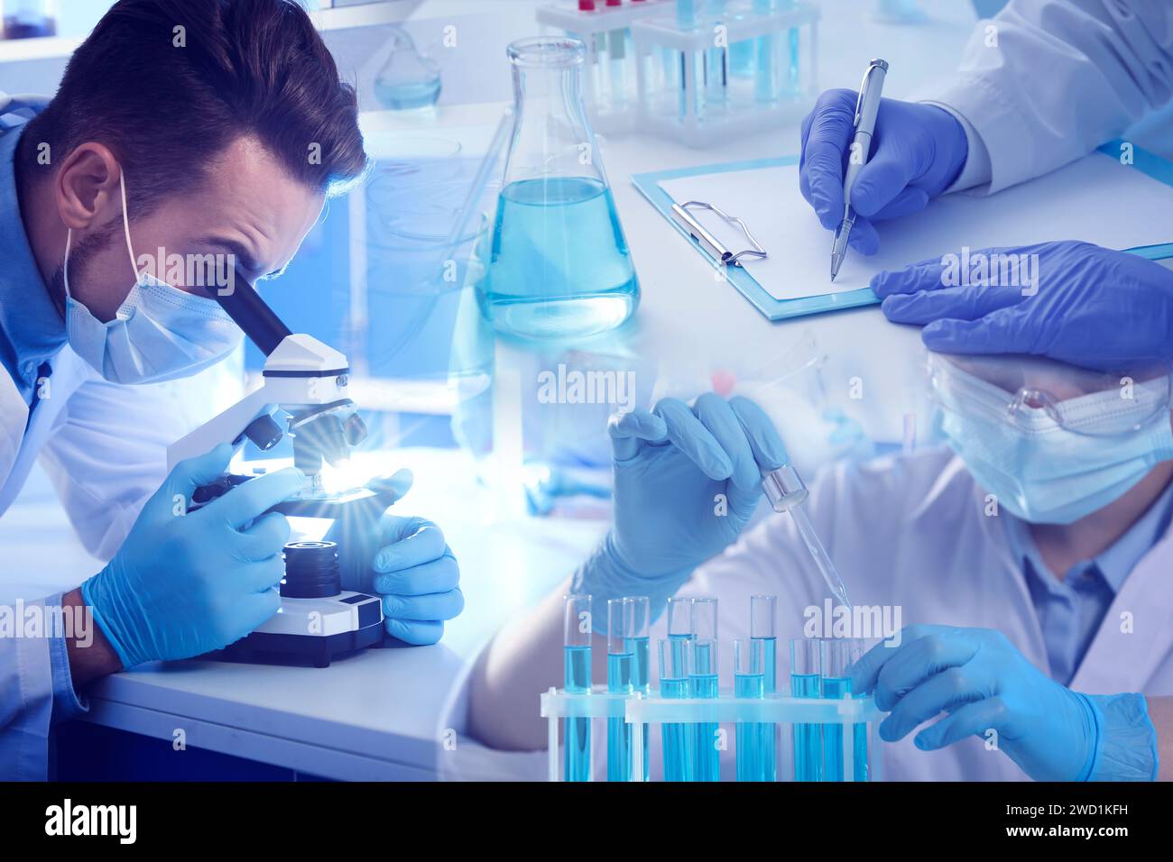 Testing, analysis and experiment. Laboratory employees working ...