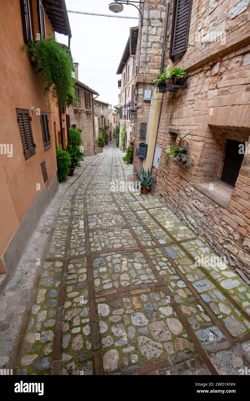 Cobblestone Pedestrian Alley in Spello - Italy Stock Photo - Alamy