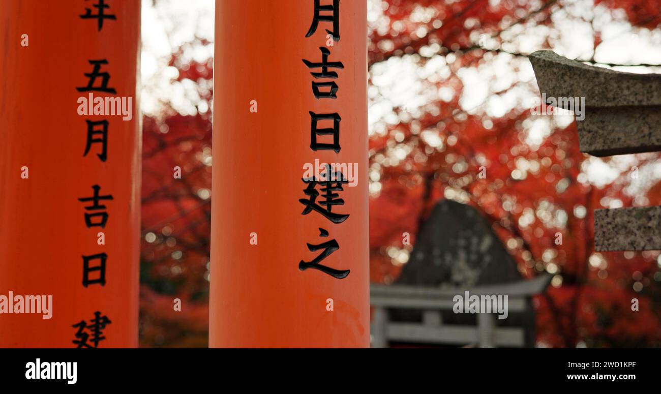 Architecture, torii gates and pillars at temple for religion, travel ...