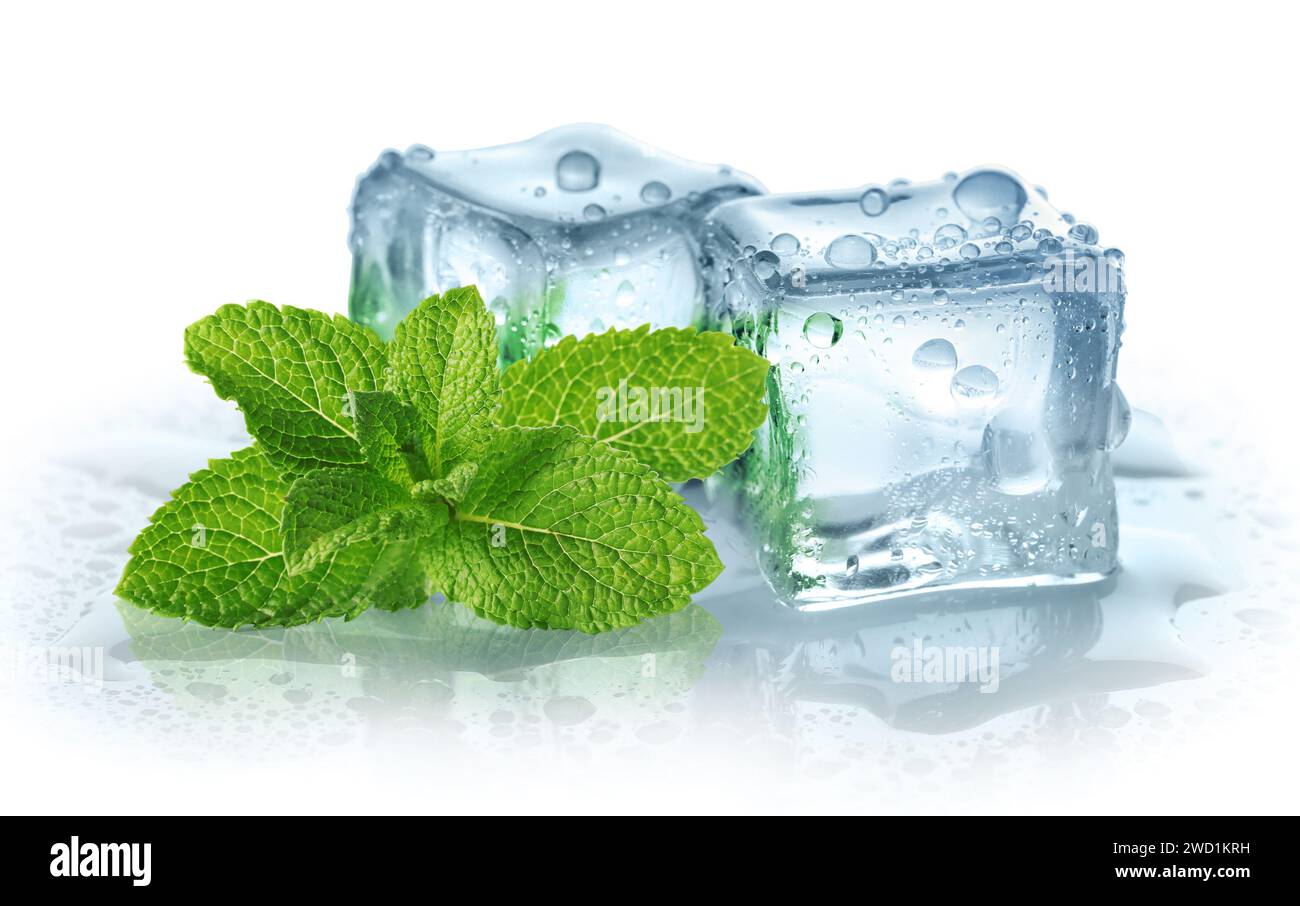 Green mint and ice cubes isolated on white Stock Photo - Alamy