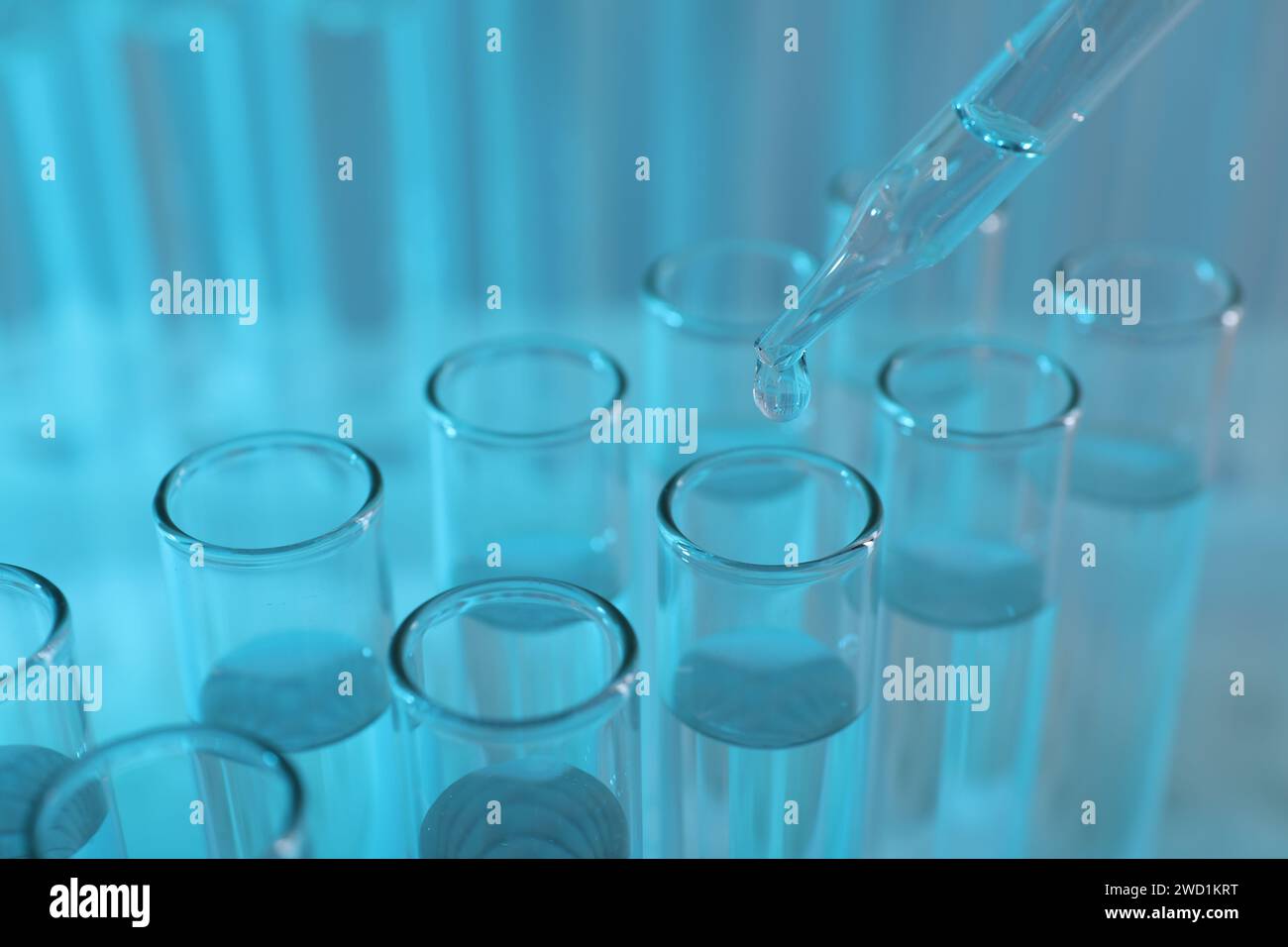 Laboratory analysis. Dripping liquid from pipette into glass test tube ...