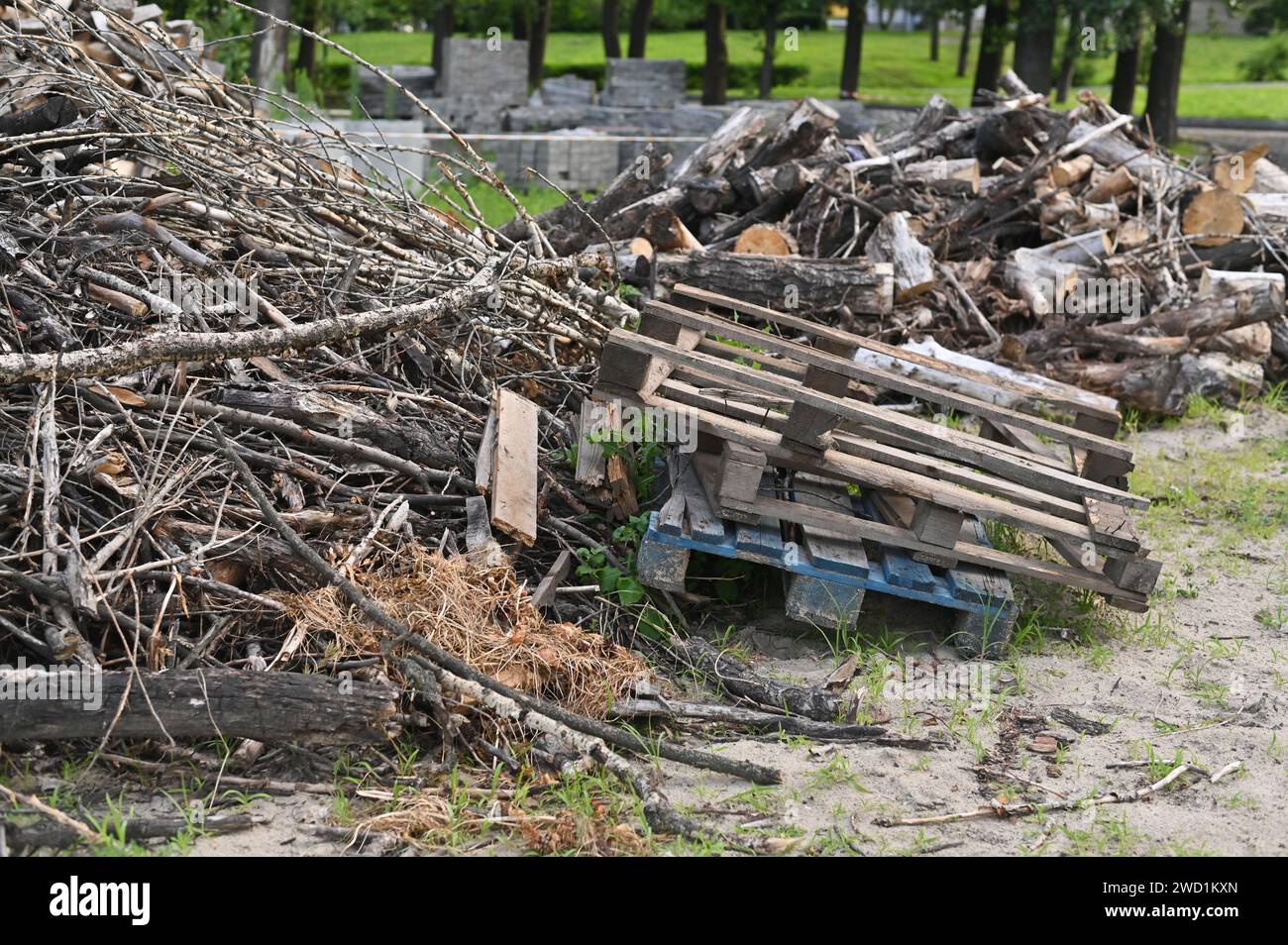 A pile of garbage made of firewood and wooden pallets Stock Photo - Alamy