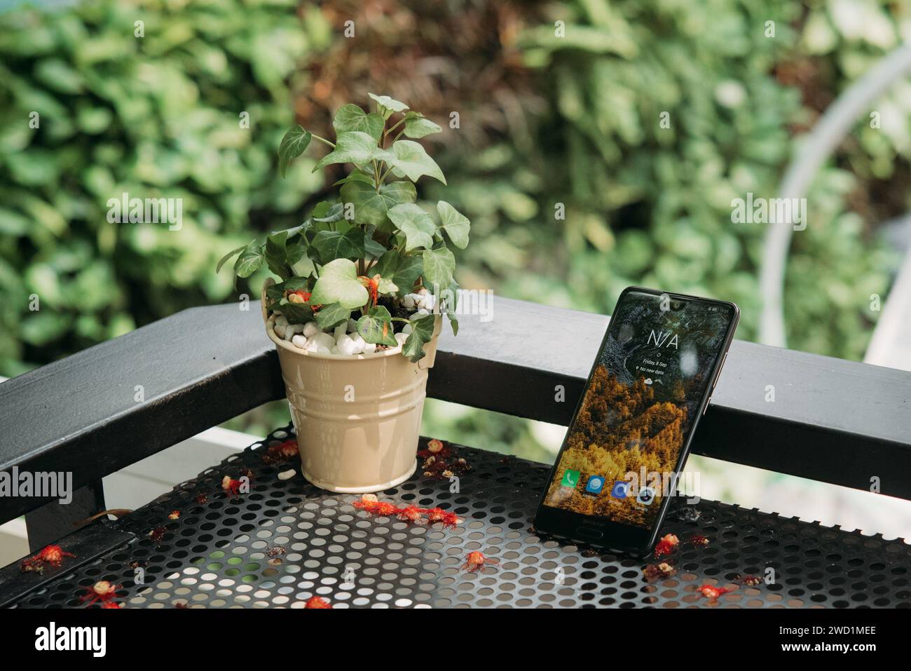 HCMC, VN - Jan 2024. Sharp AQUOS S2 Smartphone Stock Photo - Alamy