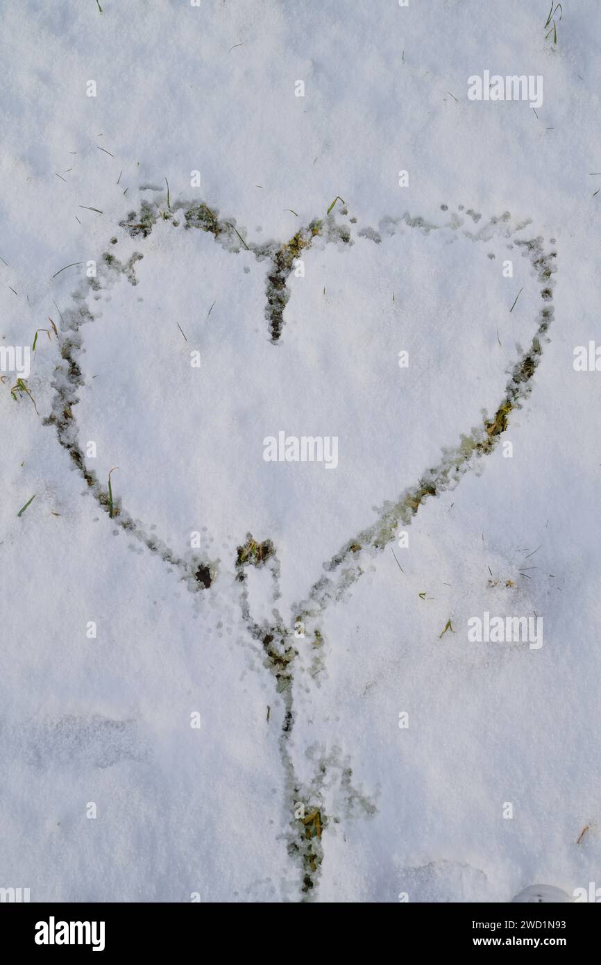 Herz, in den Schnee gepinkelt, Deutschland Stock Photo - Alamy