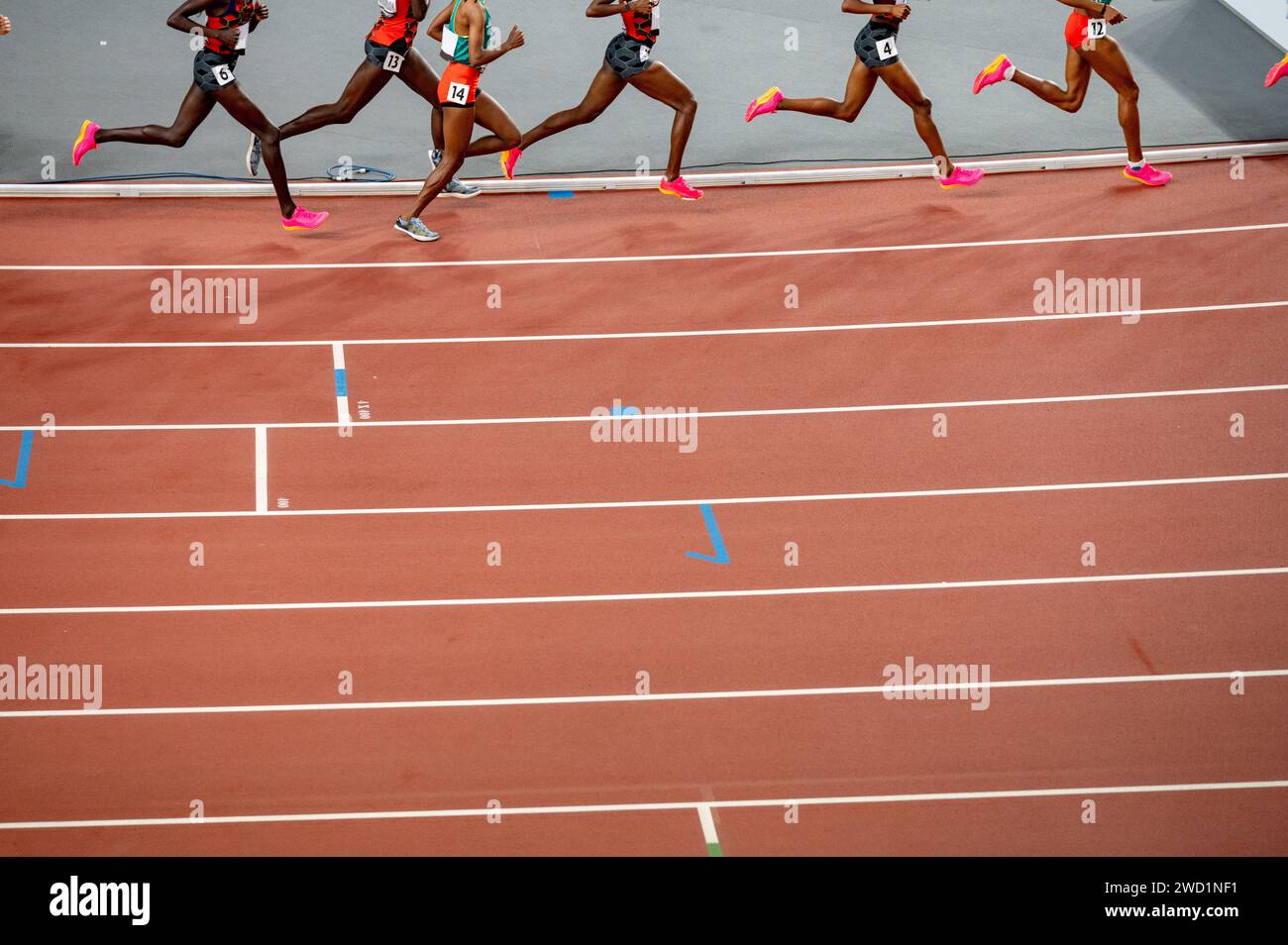 A Close-Up of the Powerful Legs of Women Dominating the Track and Field ...