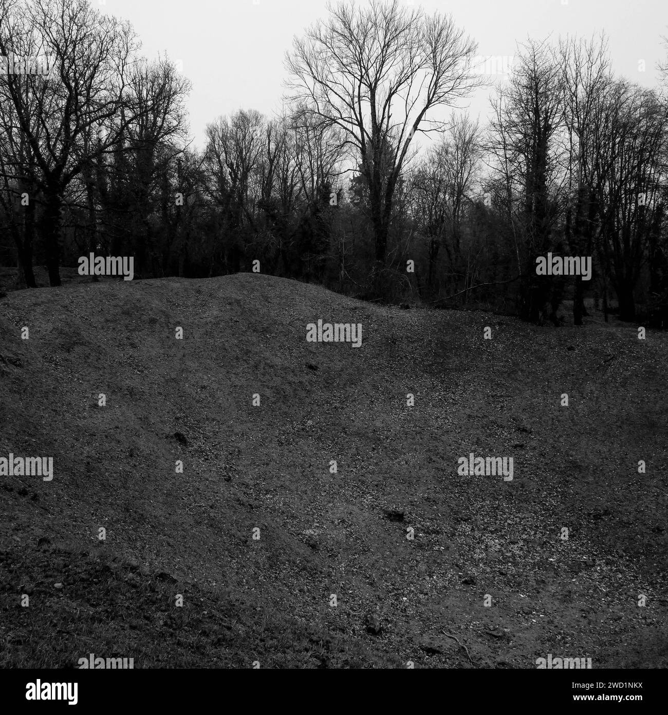 Visit to verdun Black and White Stock Photos & Images - Alamy