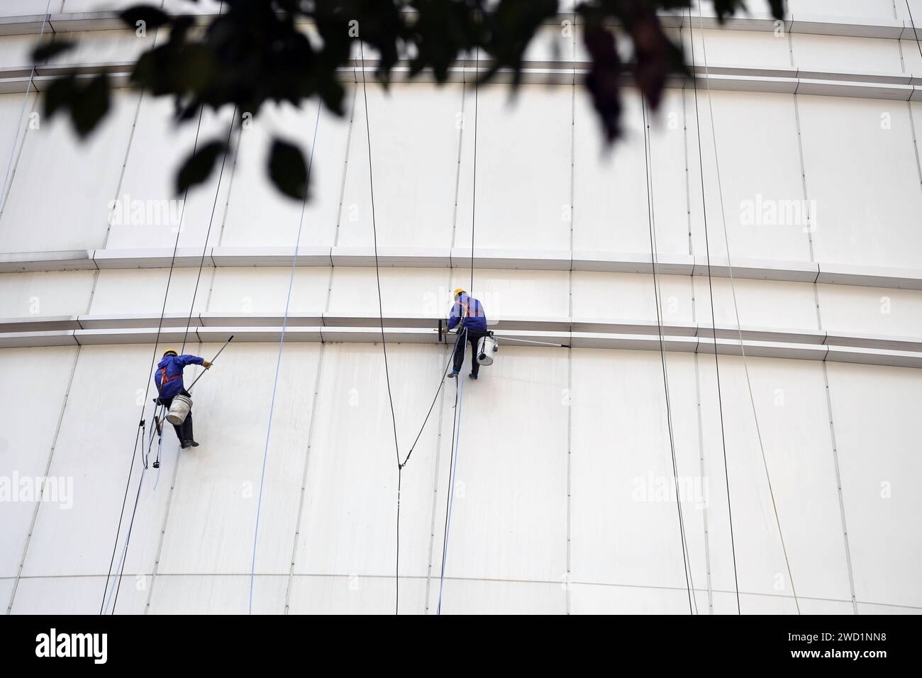 Cleaners perform high-altitude cleaning on the exterior facade of the ...