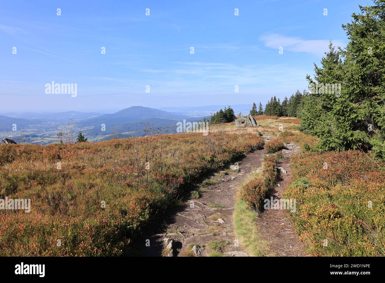 Herbst am Großen Osser im Bayerischen Wald Stock Photo - Alamy