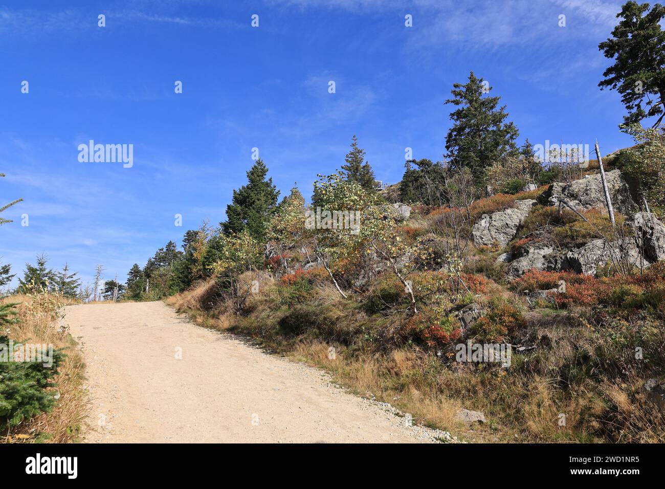 Herbst am Großen Osser im Bayerischen Wald Stock Photo - Alamy