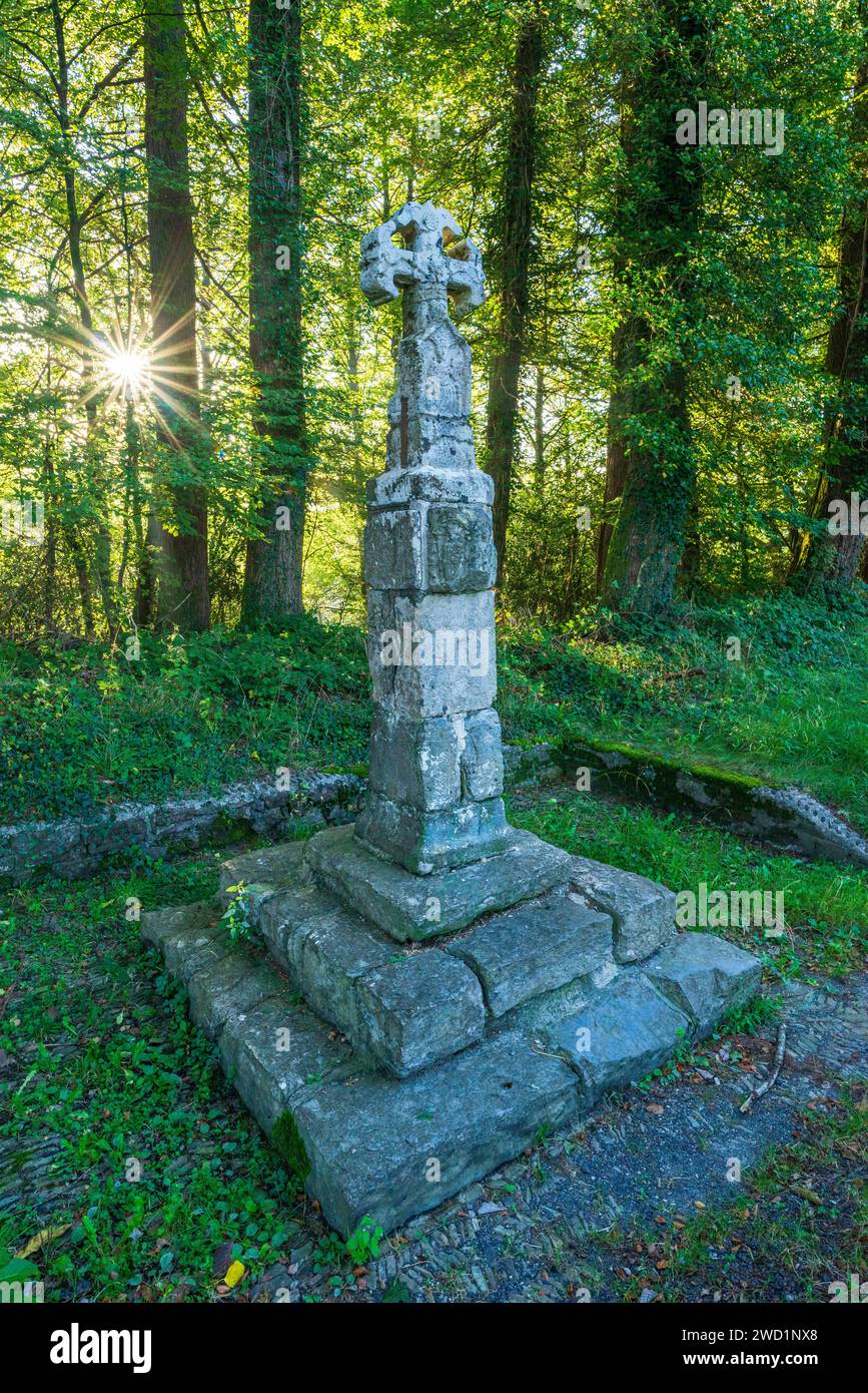 pilgrims' cross at the exit of Roncesvalles, 14th century, Santiago's ...