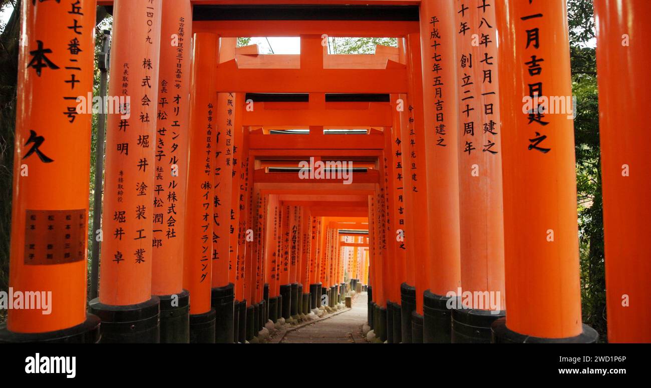 Architecture, torii gates and temple for religion, travel and ...