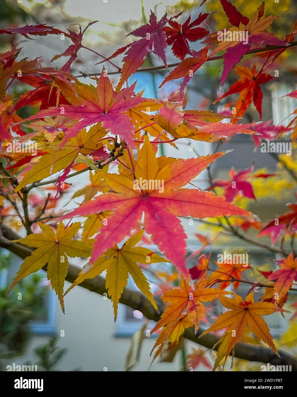 Atraciton hi-res stock photography and images - Alamy