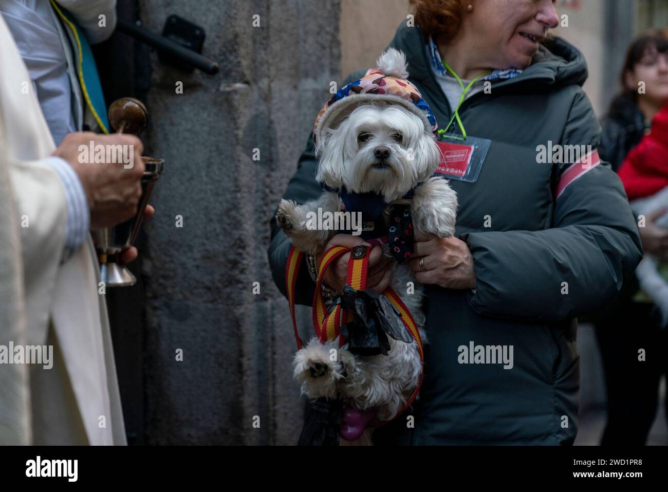 Madrid, Spain. 17th Jan, 2024. A dog carried by its owner is seen ...