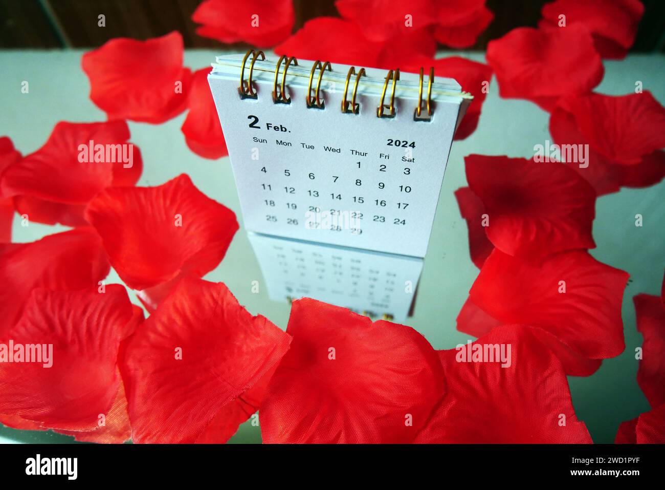 February 2024 desk calendar and pink rose petals on a red background ...