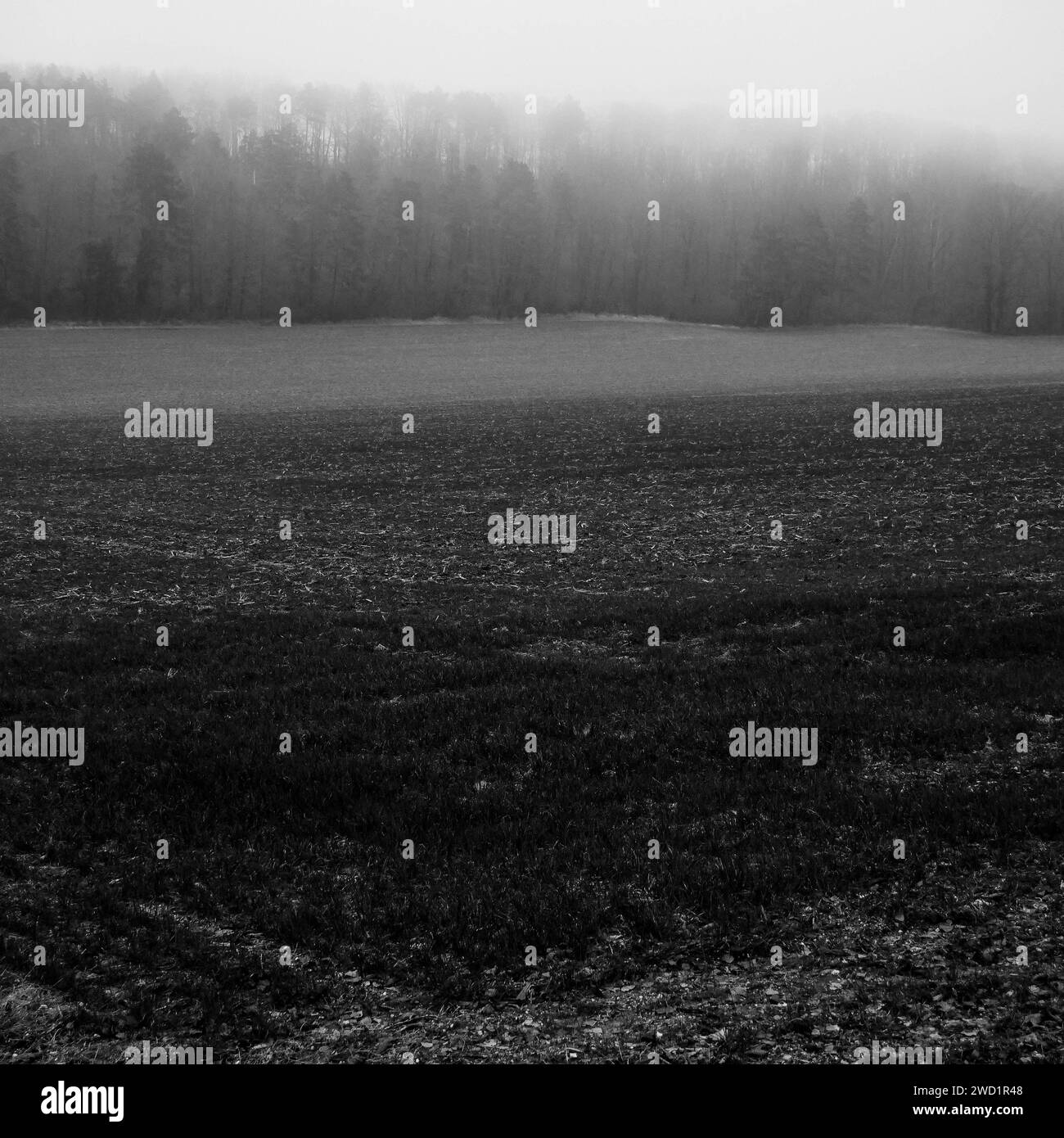 Winter battlefield wwi Black and White Stock Photos & Images - Alamy