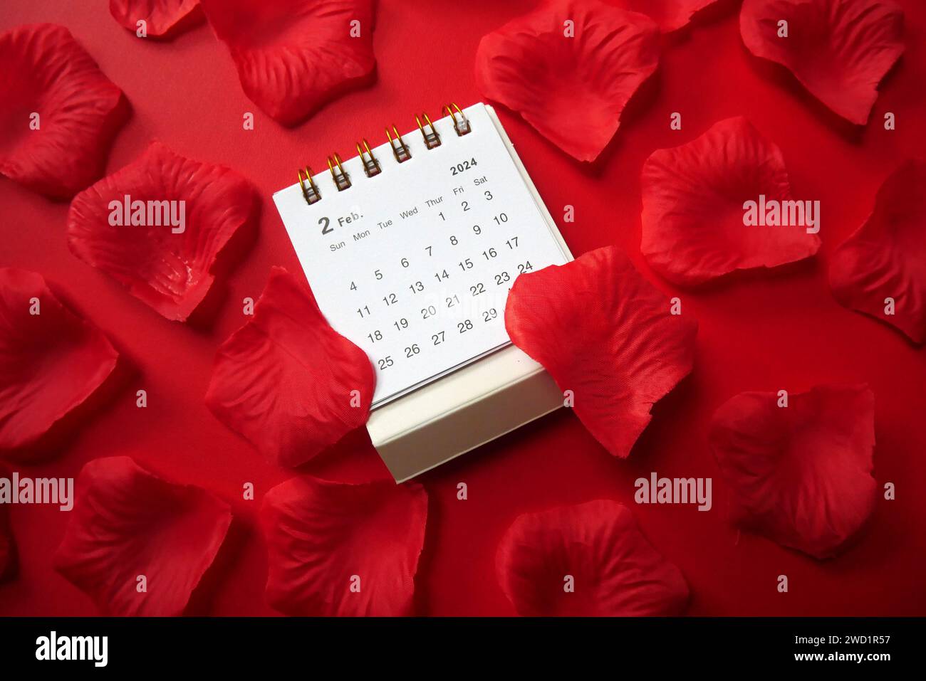February 2024 desk calendar and pink rose petals on a red background ...