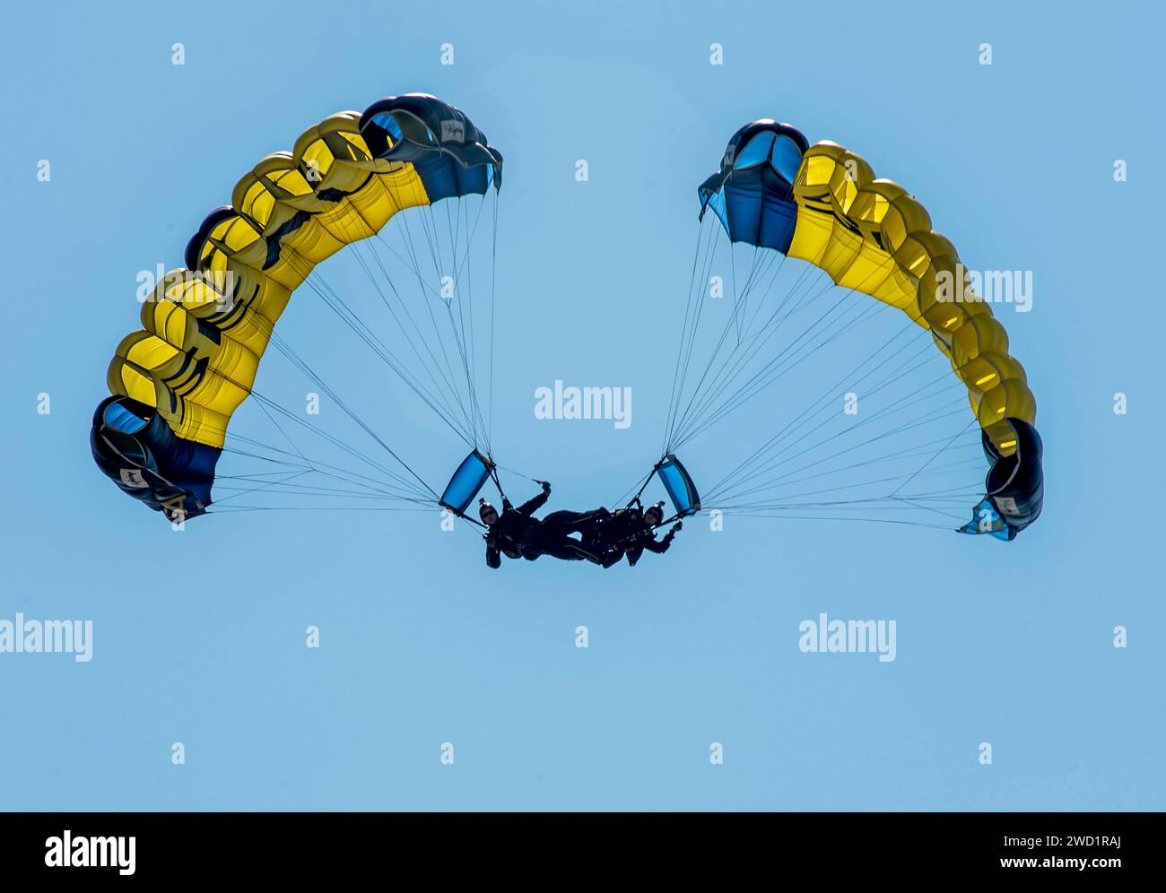 Members of the U.S Navy parachute team, the Leap Frogs, during a ...