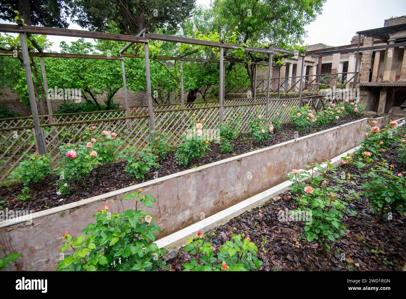 House of Octavius Quartio - Pompeii - Italy Stock Photo - Alamy