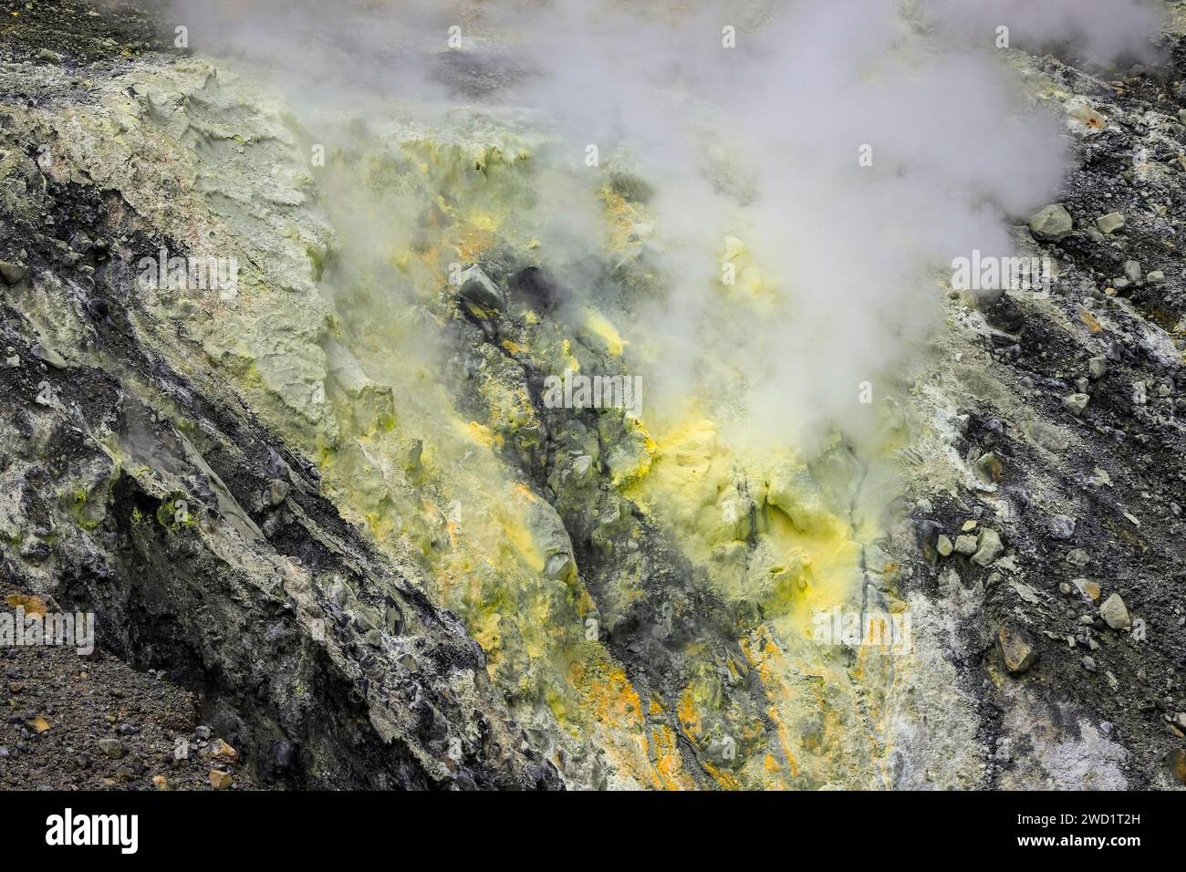 Steaming fumarole with sulphur deposits in Tompaluan active crater by ...