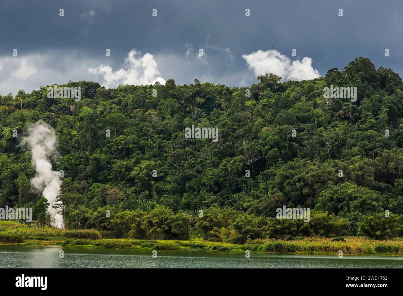 Steaming fumaroles by Lake Linow, a popular volcanic sight & geothermal ...
