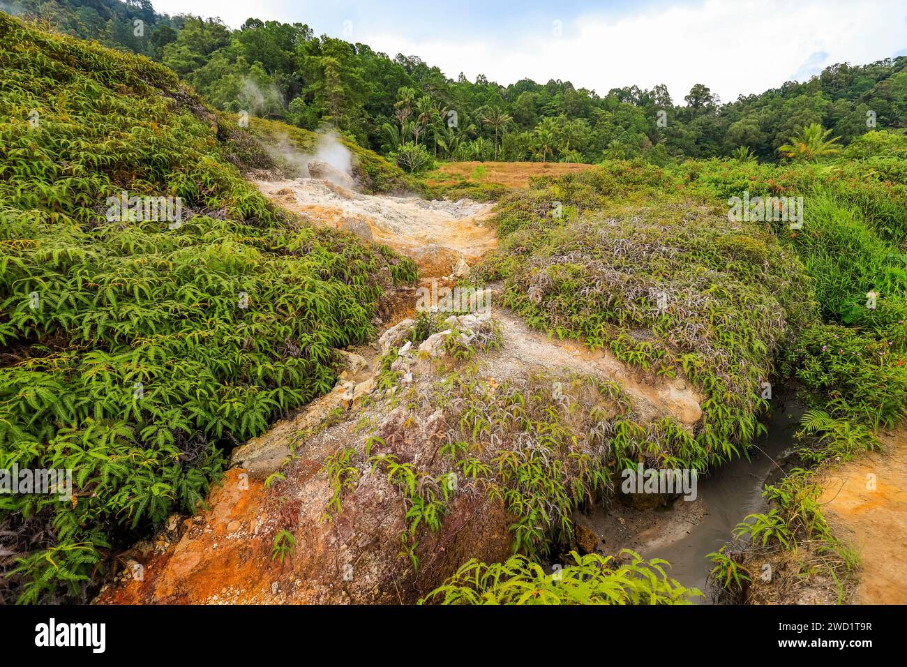 Hot water stream flows from steaming fumaroles by Lake Linow, a ...