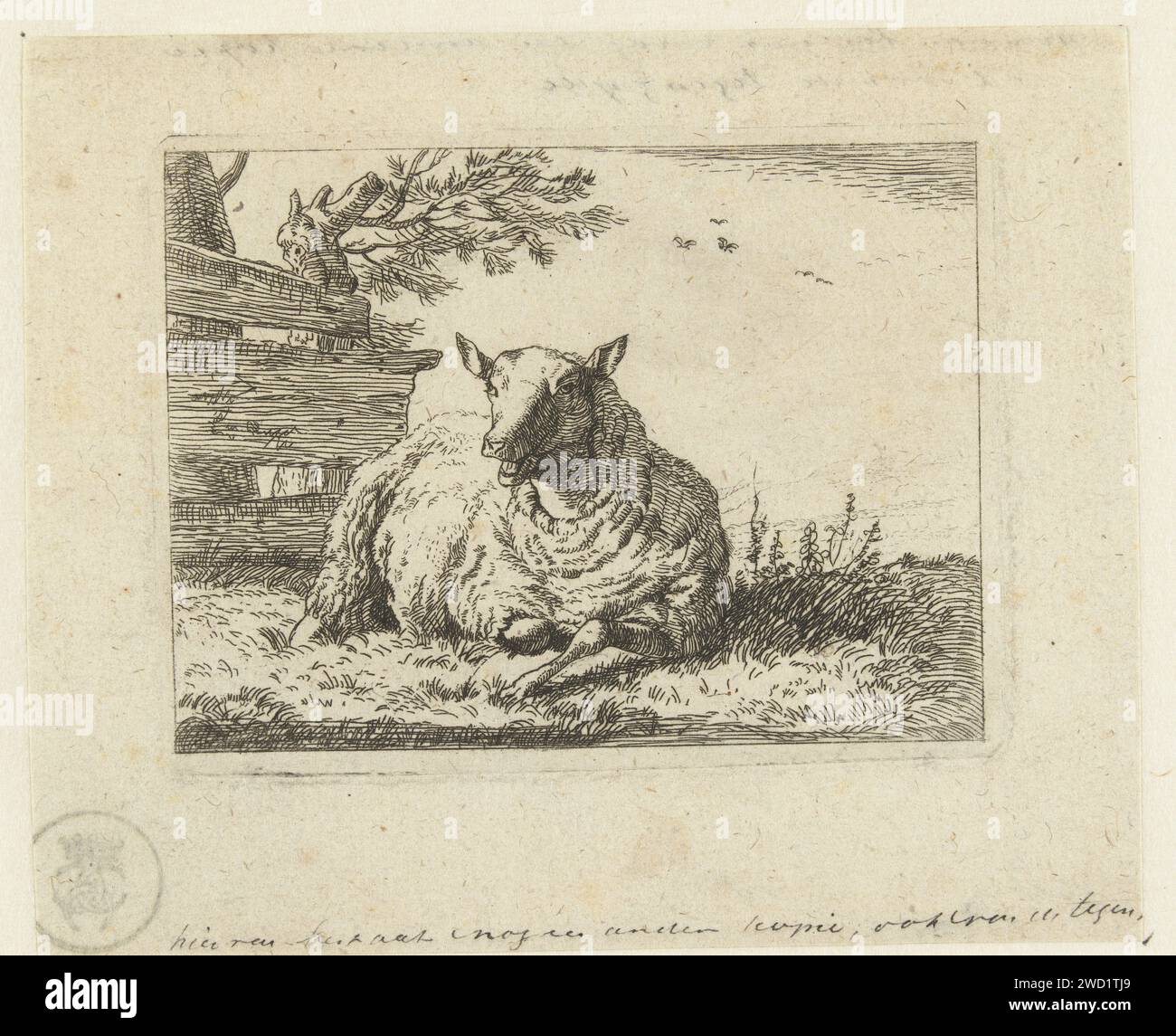 Schaap at a fence, Anonymous, After Karel du Jardin, 1652 - 1728 print ...