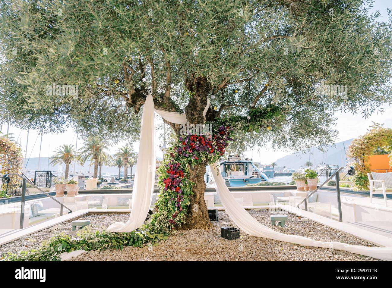 Wedding tree arch entwined with colorful flowers Stock Photo - Alamy