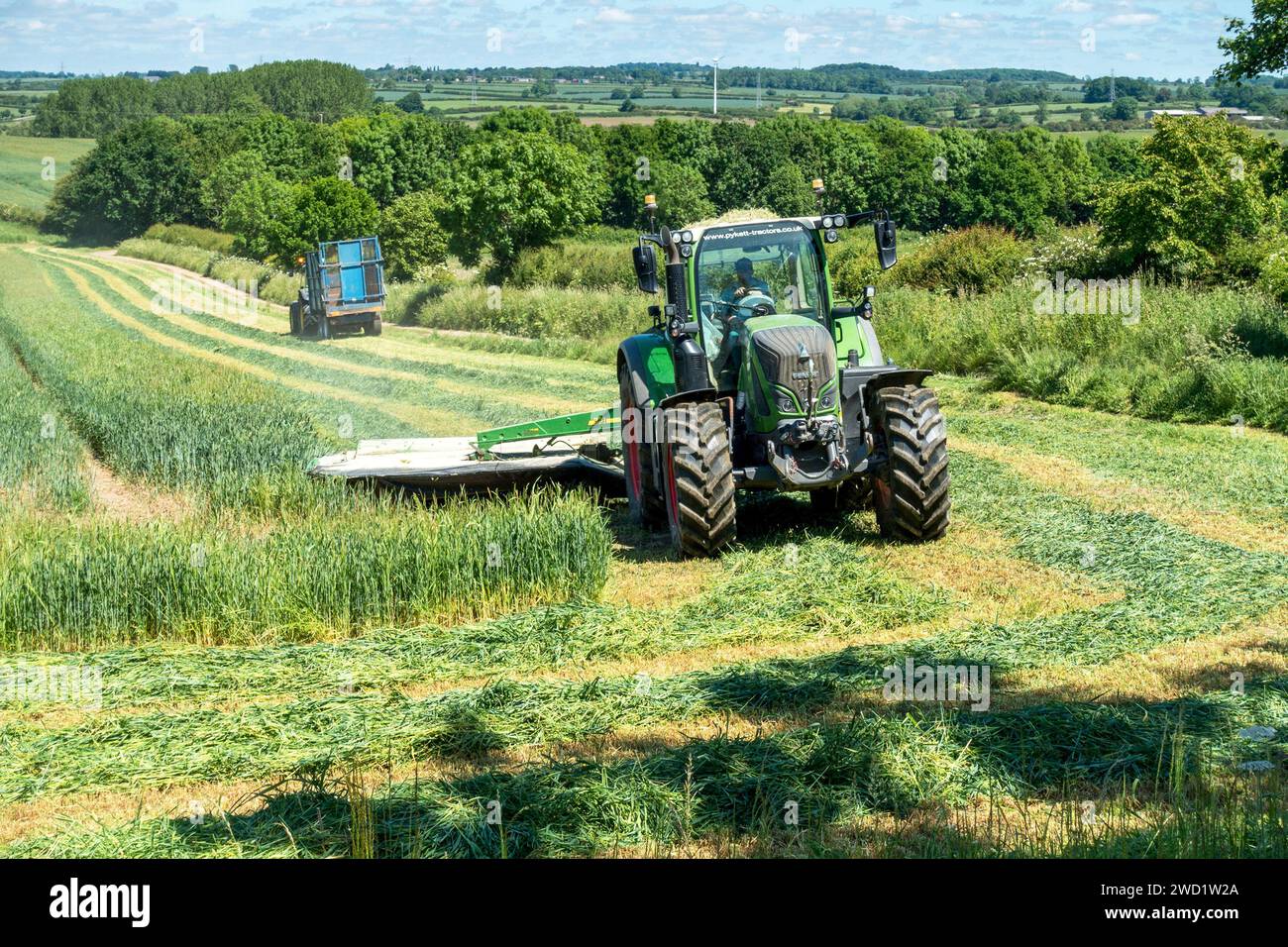 Farm tractors mowing, cutting and collecting green crop for silage or ...