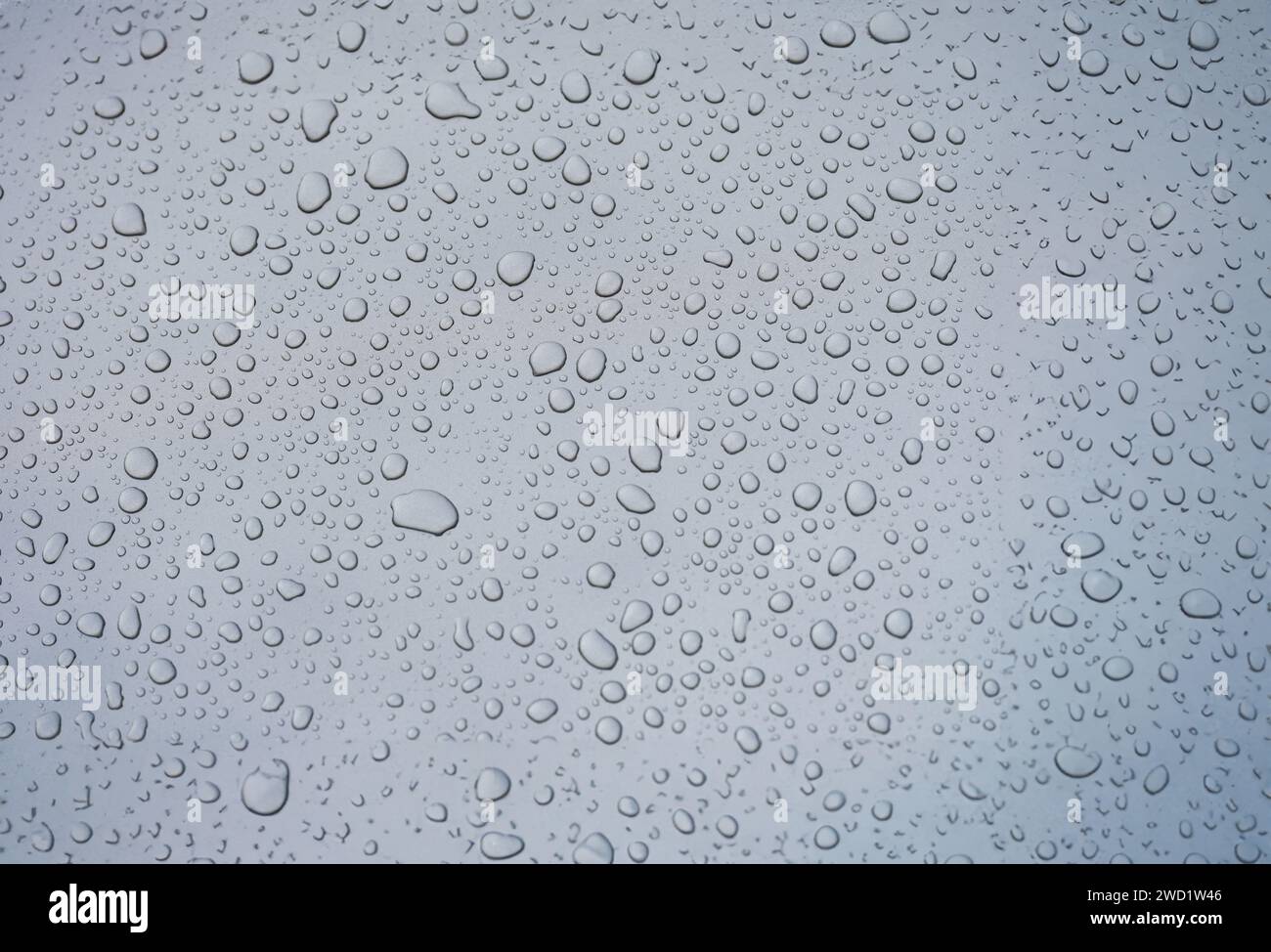 Closeup of raindrops on gray window glass texture background Stock ...
