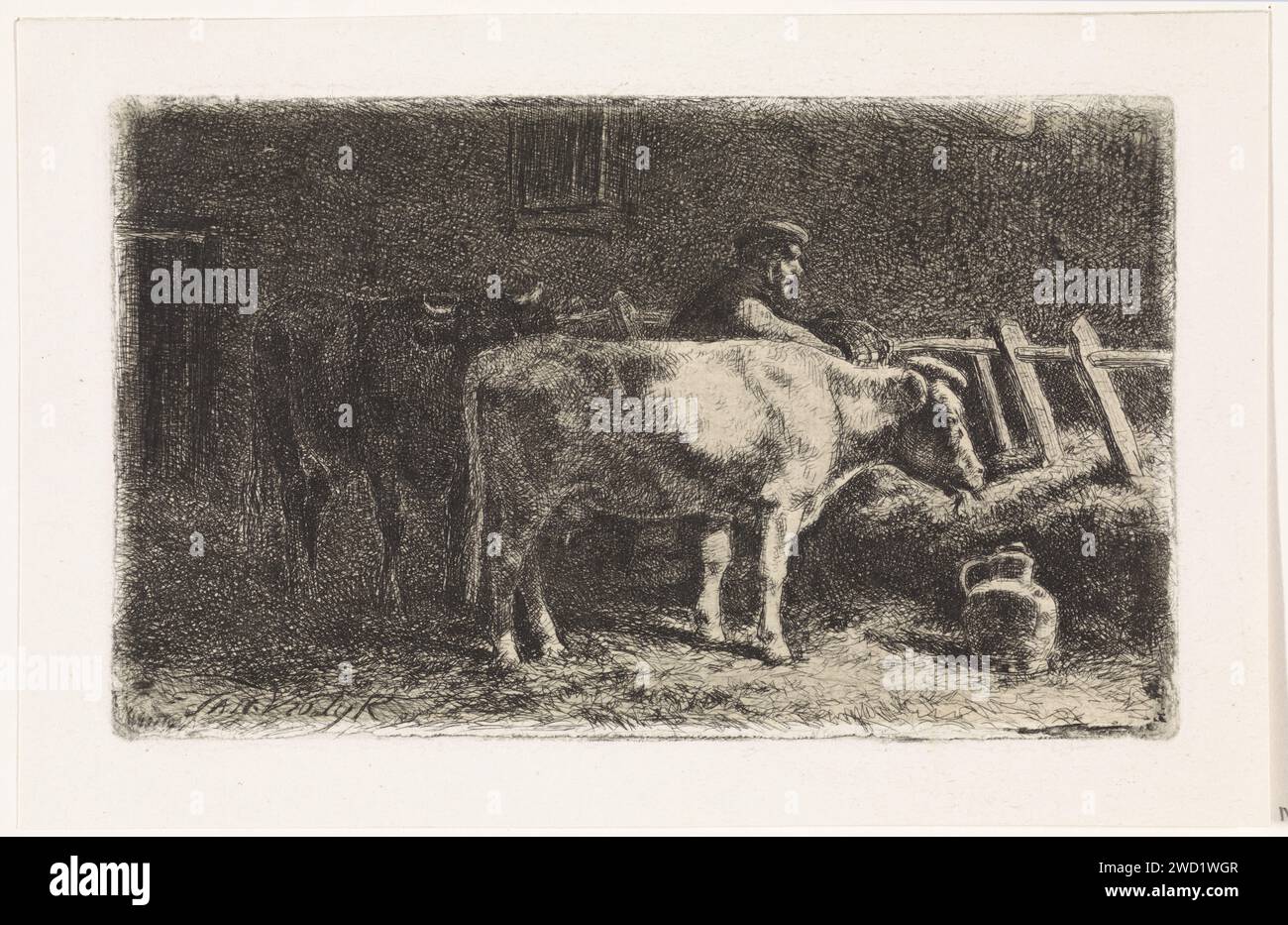 Farmer between two cows at a rack in a stable (large variant), Jan ...