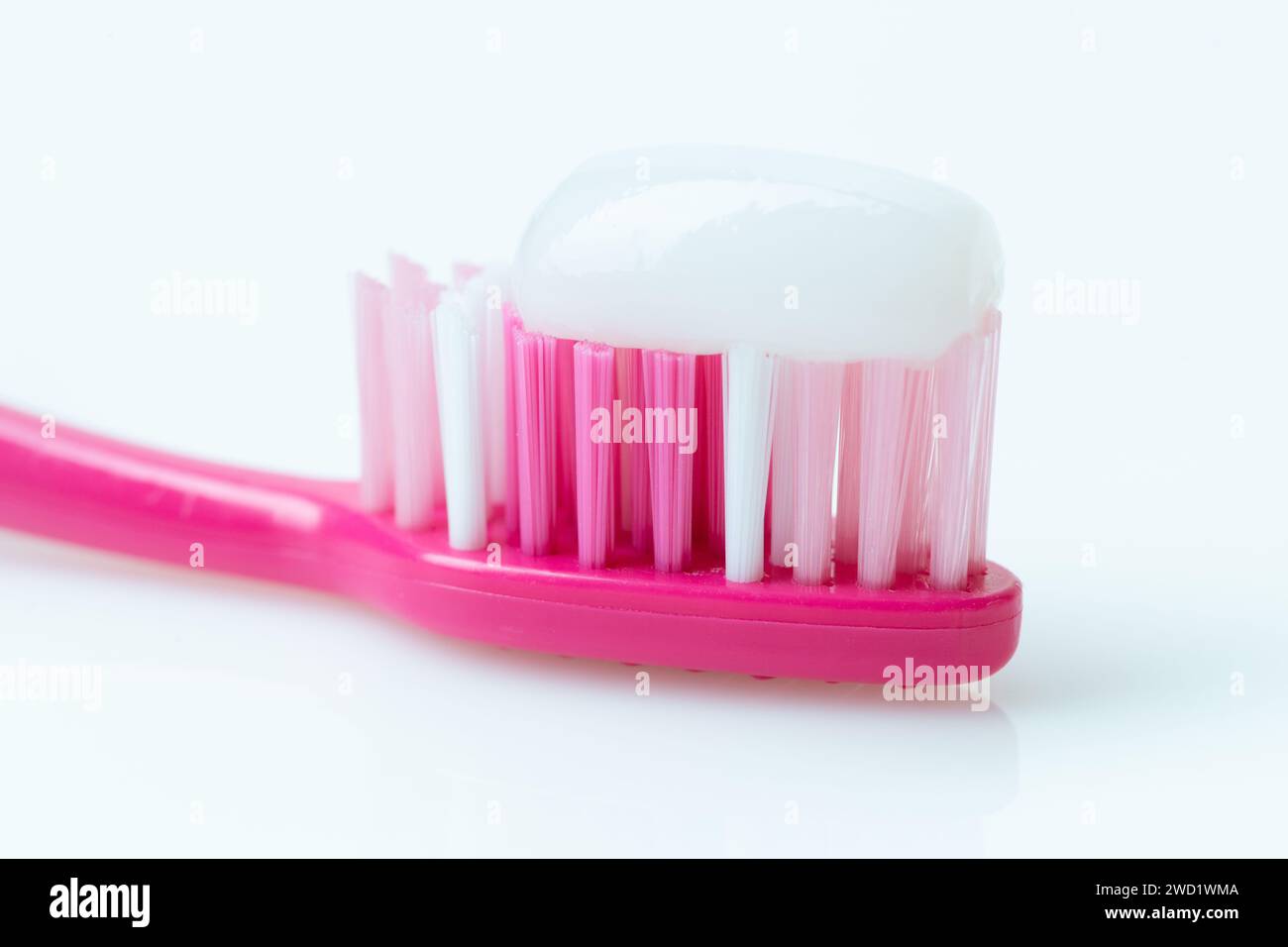 Close up of a single plastic toothbrush head with a strip of white ...