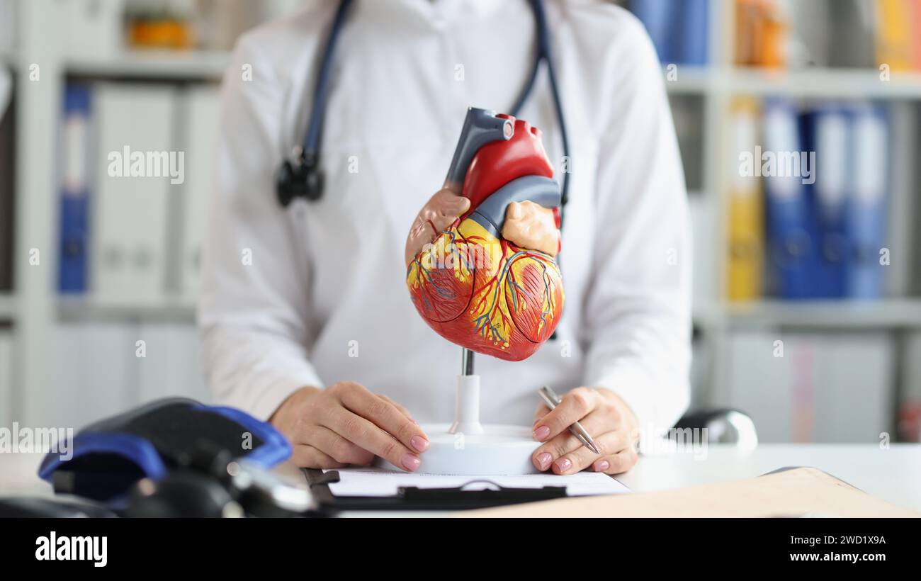 Plastic heart model in hospital, check up your heart, professional ...