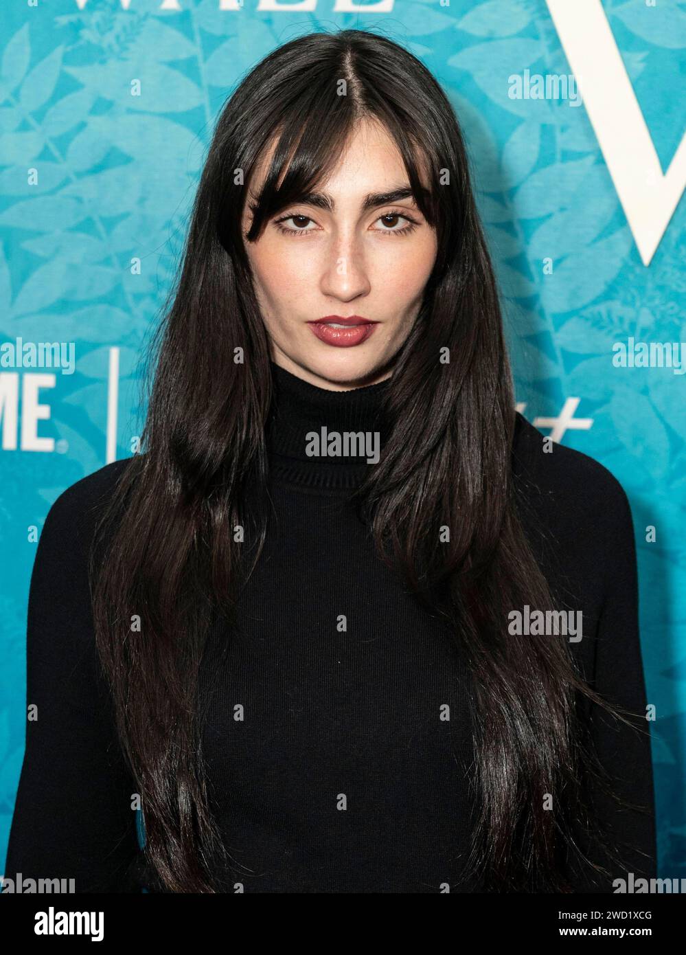 New York, New York, USA. 17th Jan, 2024. Vienna Skye attends the ...