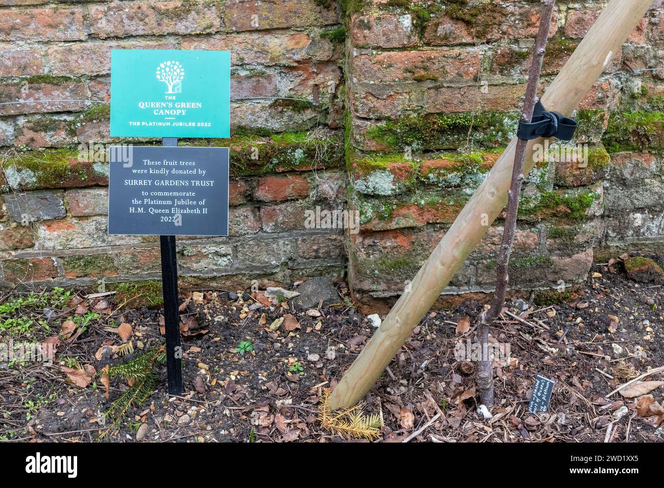 The Queen's Green Canopy, tree planted to celebrate the Platinum ...