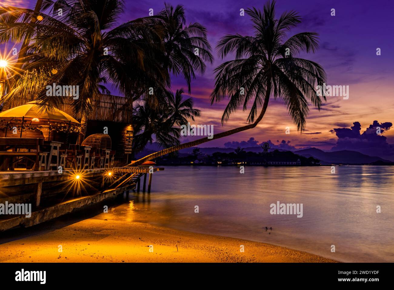 Sunset landscape view, palm trees, sea, and reflections, Big Buddha, Bo ...