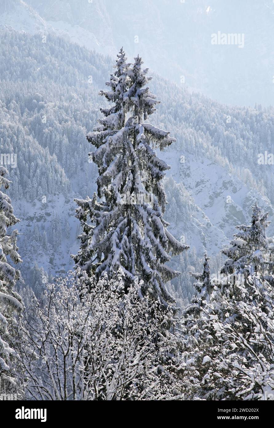 Eckbauer mountain near Garmisch-Partenkirchen. Germany Stock Photo - Alamy