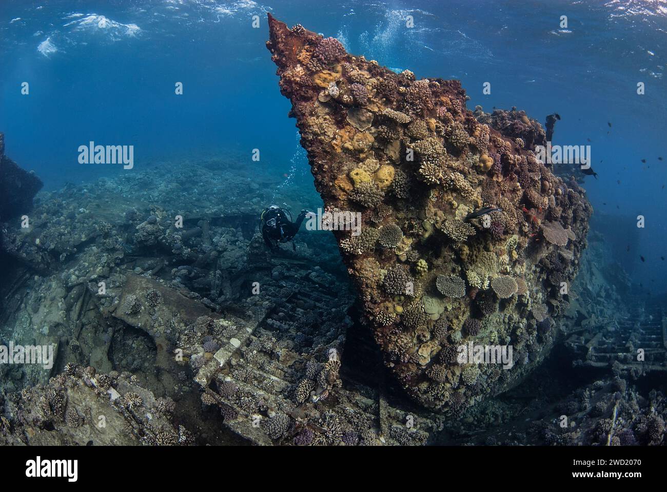 An intrepid scuba diver explores the enigmatic remains of a shipwreck ...