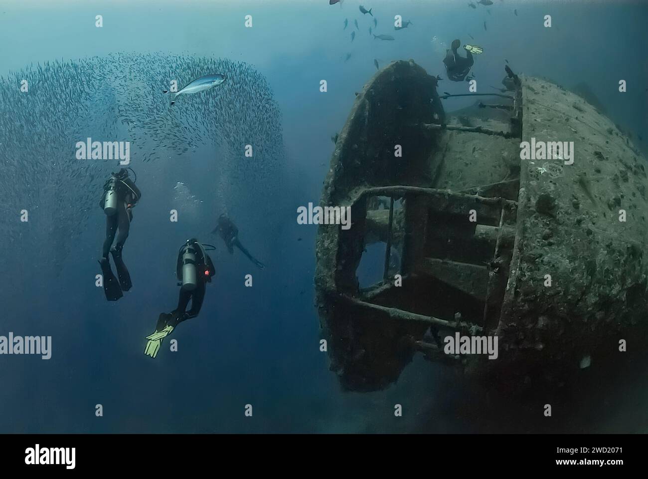 Divers swim alongside the legendary SS Thistlegorm, a World War II ...