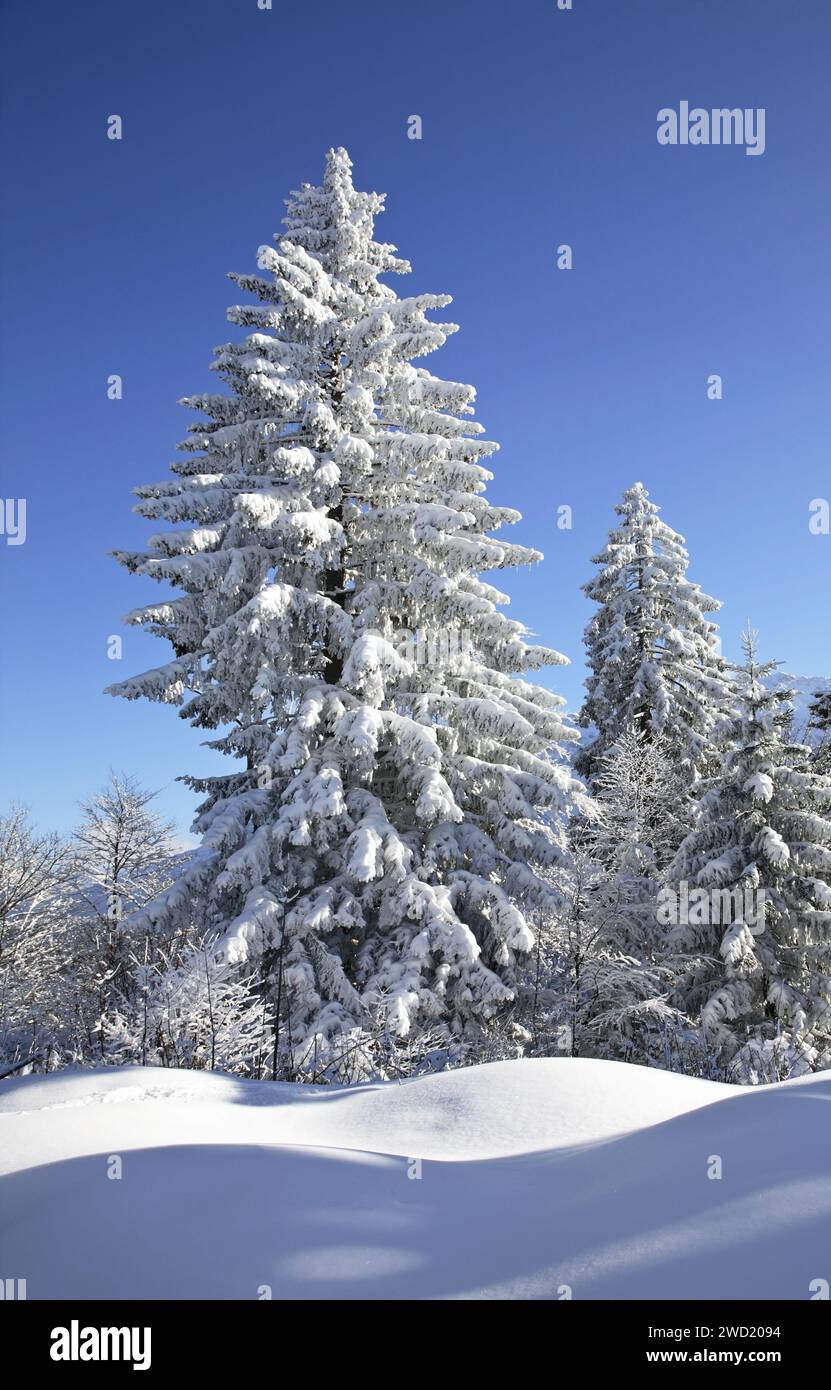 Eckbauer mountain near Garmisch-Partenkirchen. Germany Stock Photo - Alamy