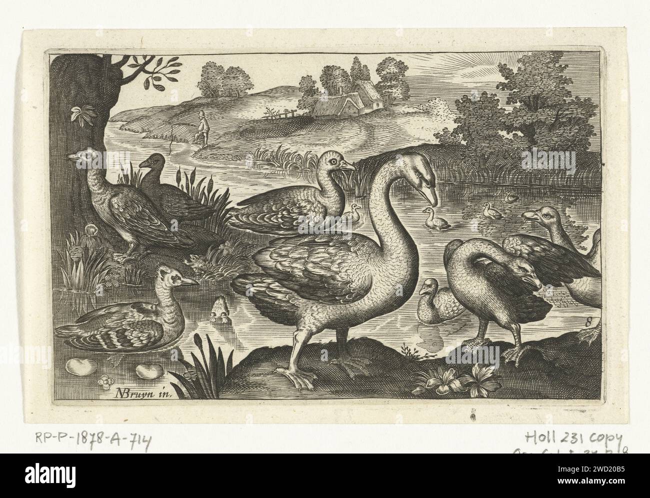 Zwaan and Ganzen and Ducks, Anonymous, After Nicolaes de Bruyn, 1594 ...